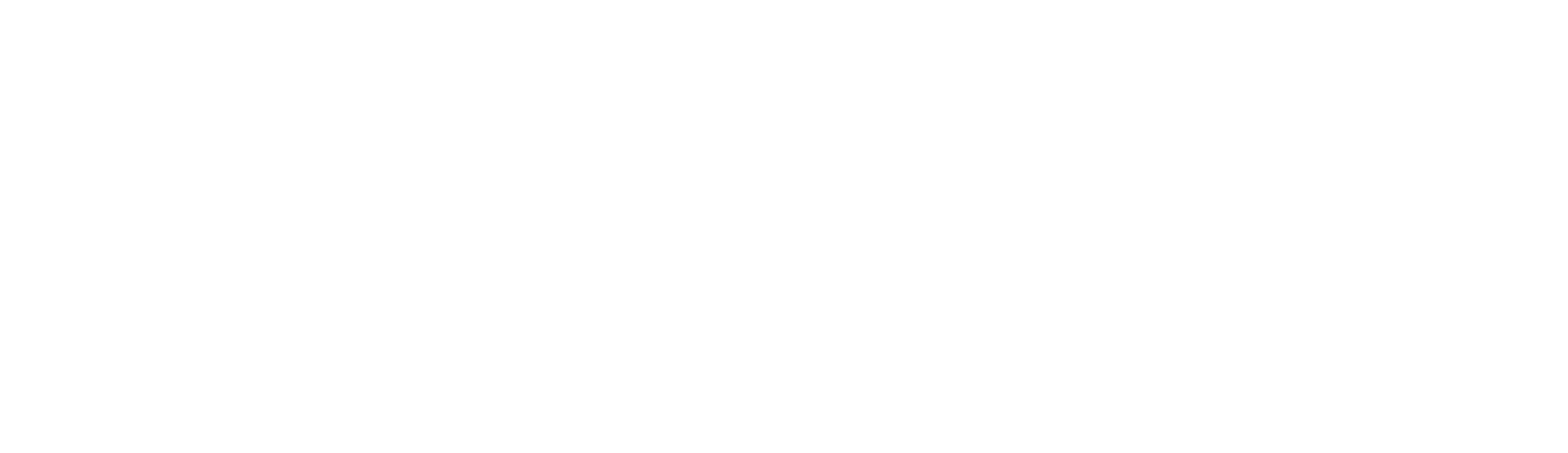 RobilityAI®